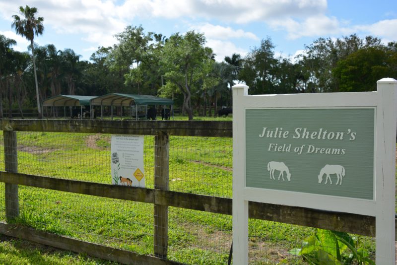 2023 South Florida SPCA Open House - South Florida SPCA Horse Rescue